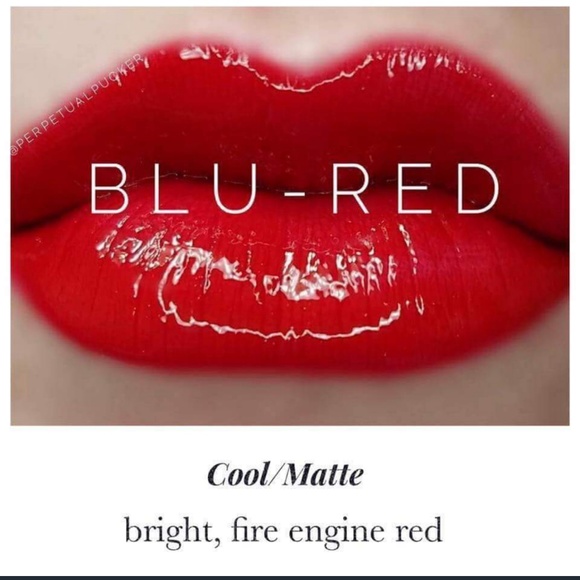 LipSense | Makeup | Blured Lipsense | Poshmark